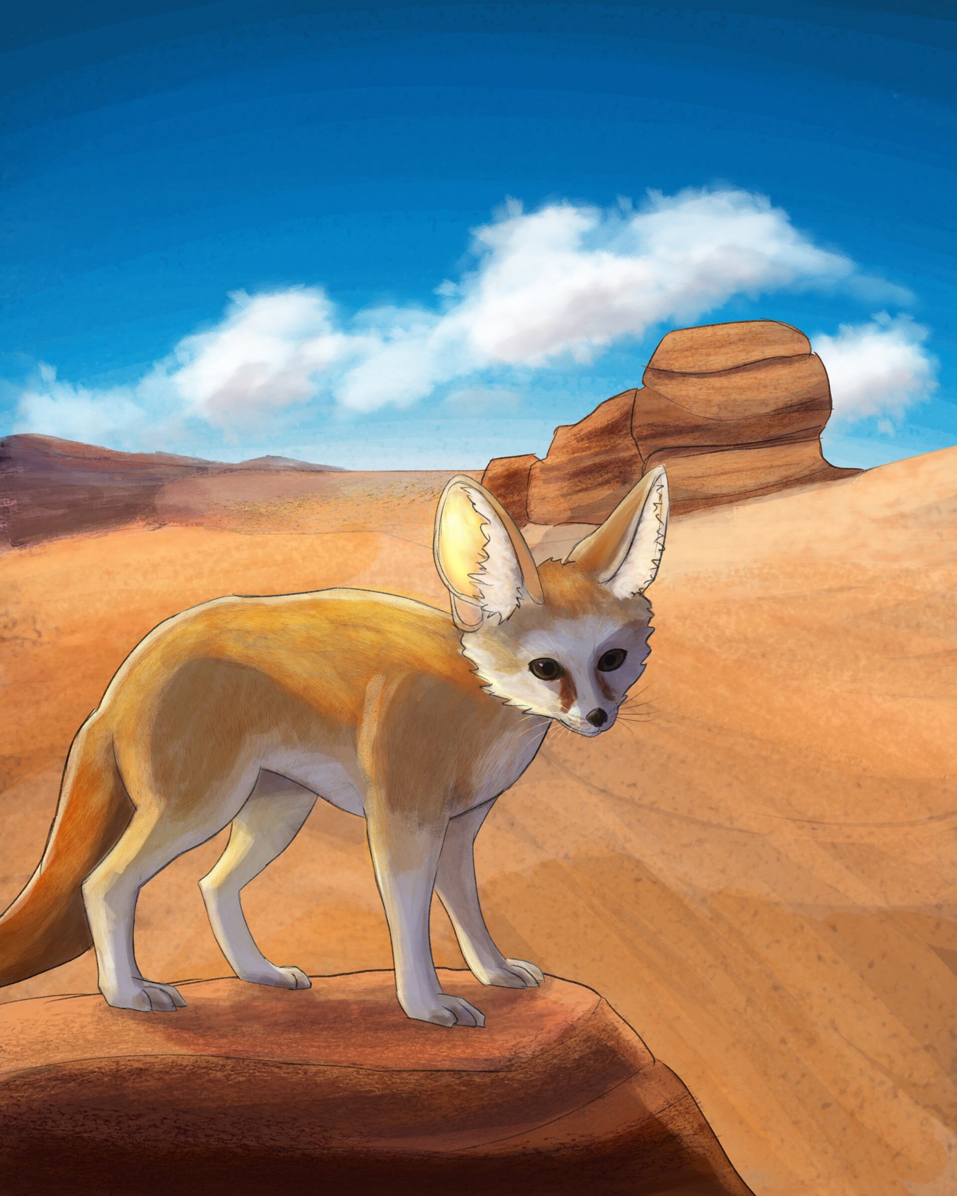 how to draw fennec fox step by step