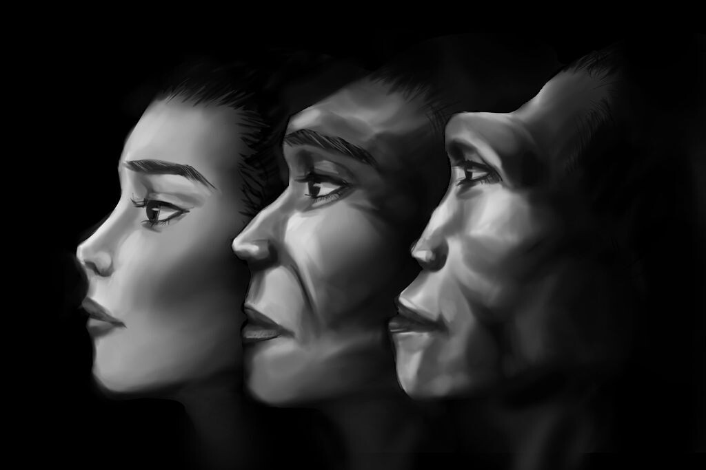 ArtStation - Female Evolution