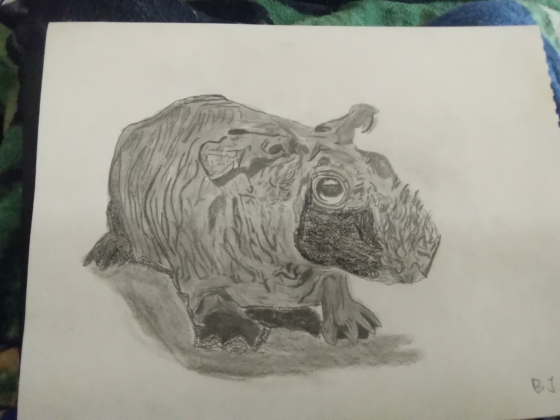ArtStation - Skinny Guinea pig Sketch