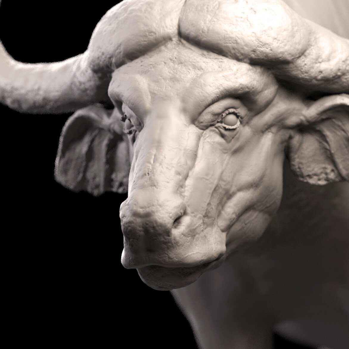 ArtStation - Cape Buffalo