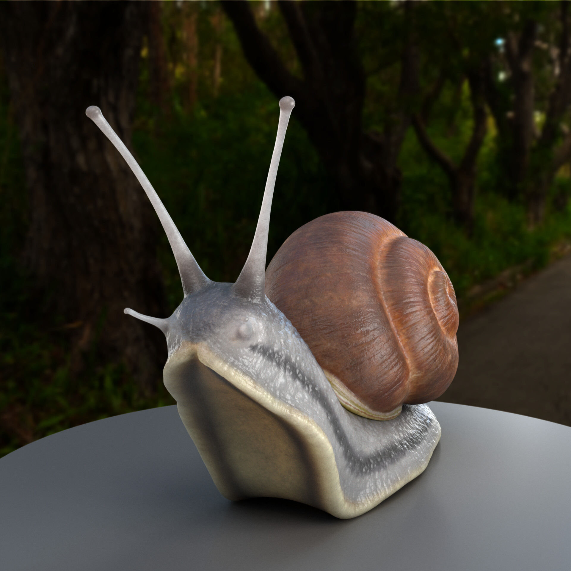 ArtStation - SNAIL