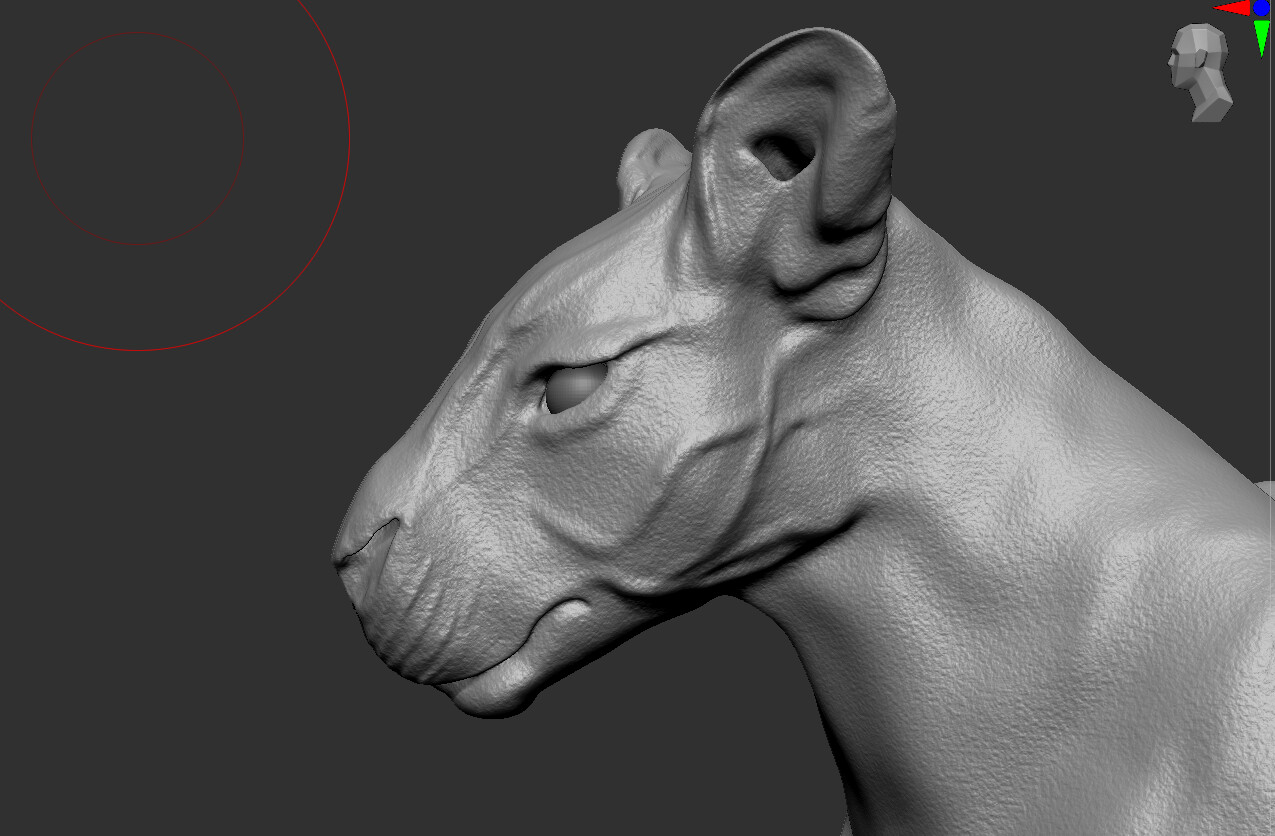 ArtStation - Animal modelling - In progress