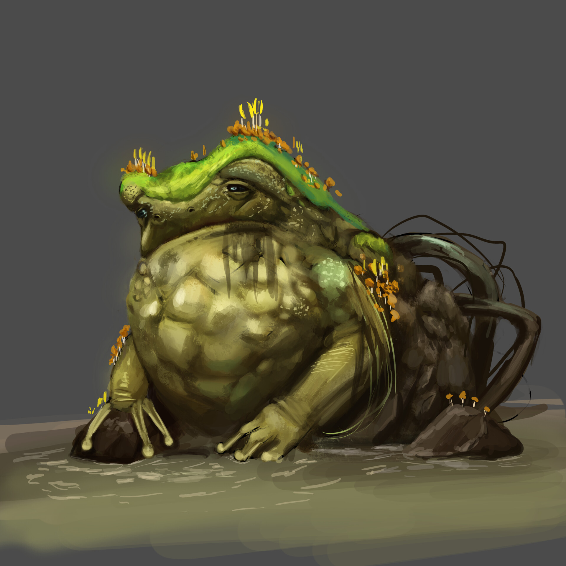 ArtStation - Kwolok from Ori