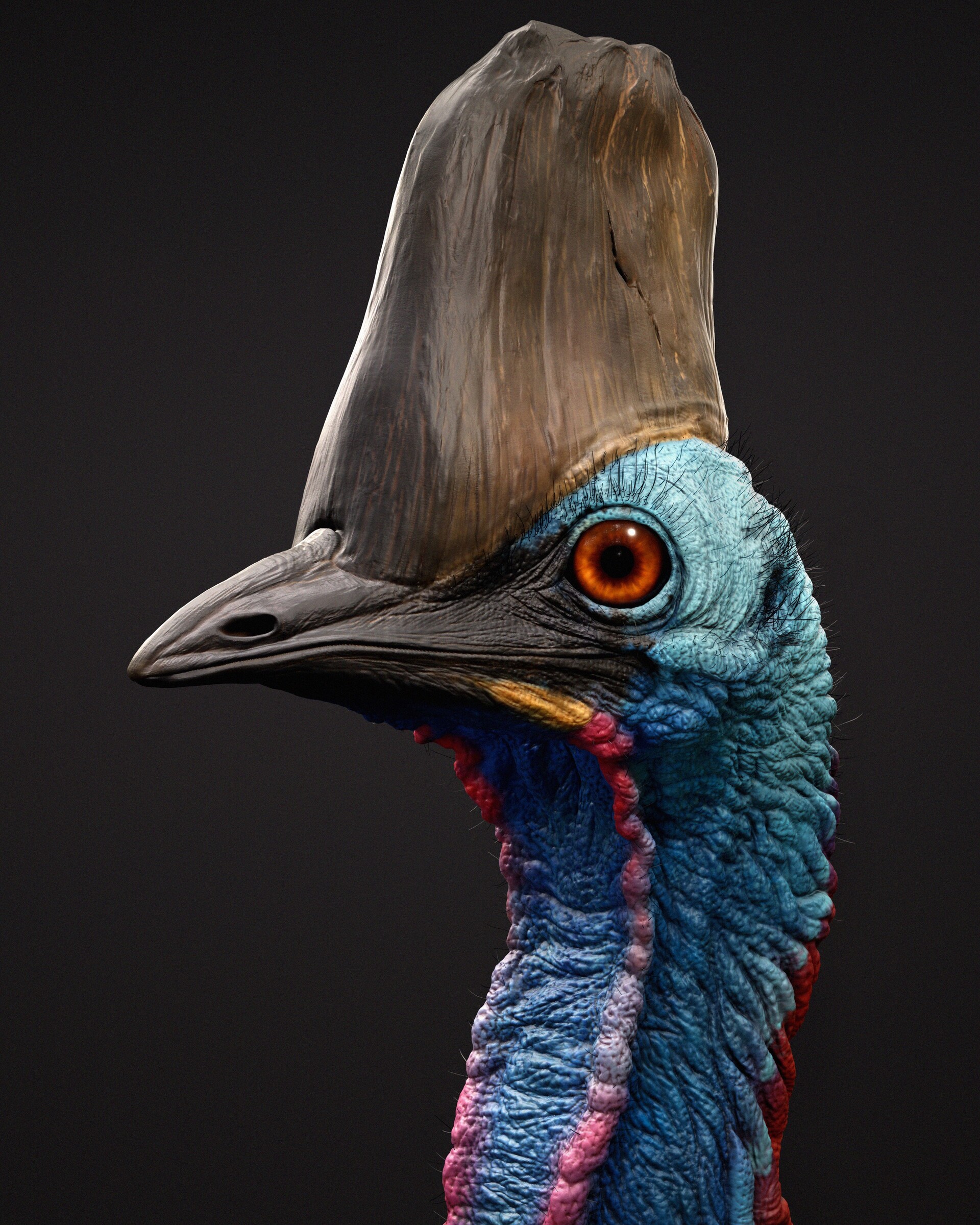 ArtStation - Cassowary Zbrush sculpture