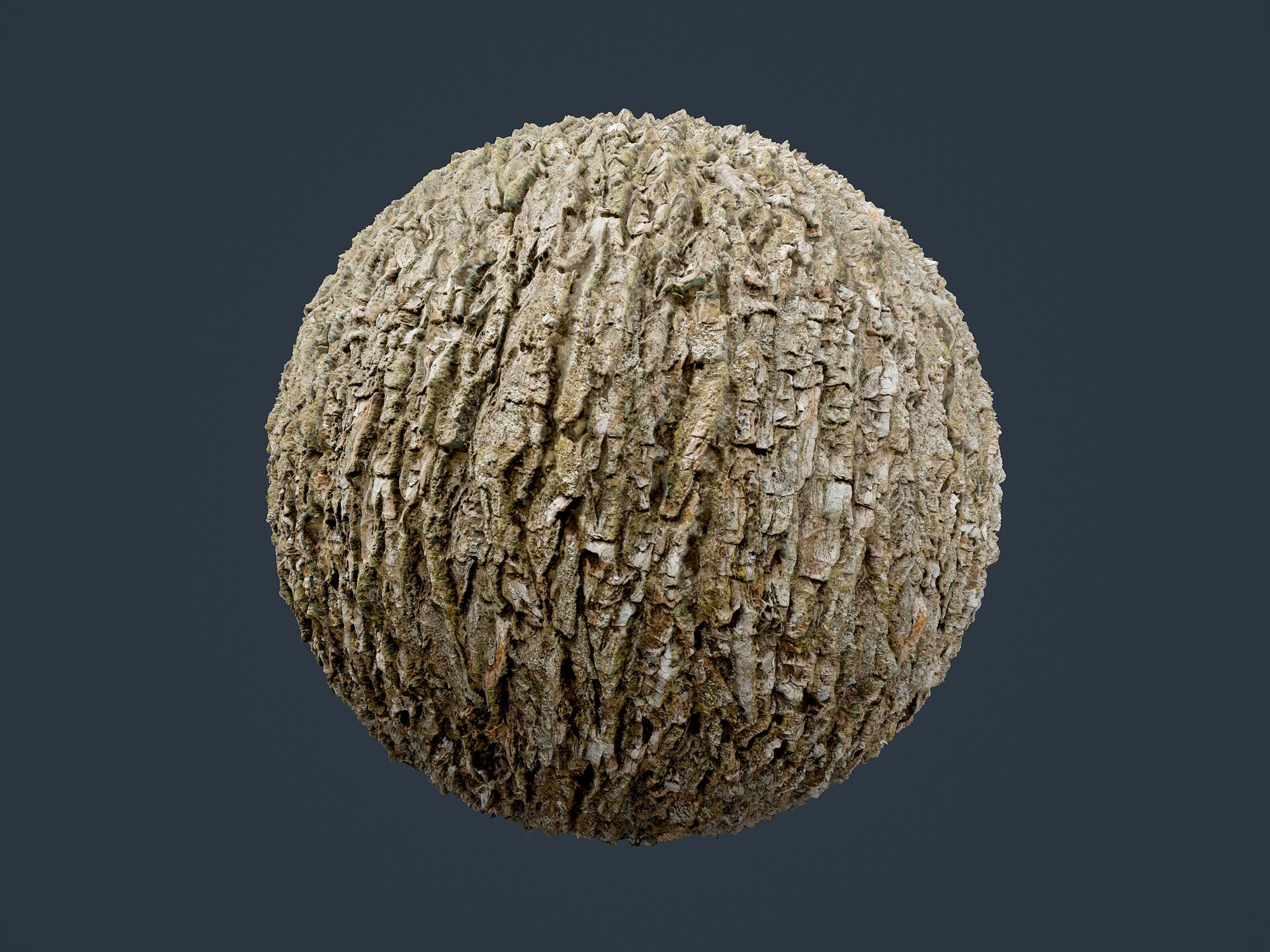 ArtStation - 3D Scan- Tree Bark