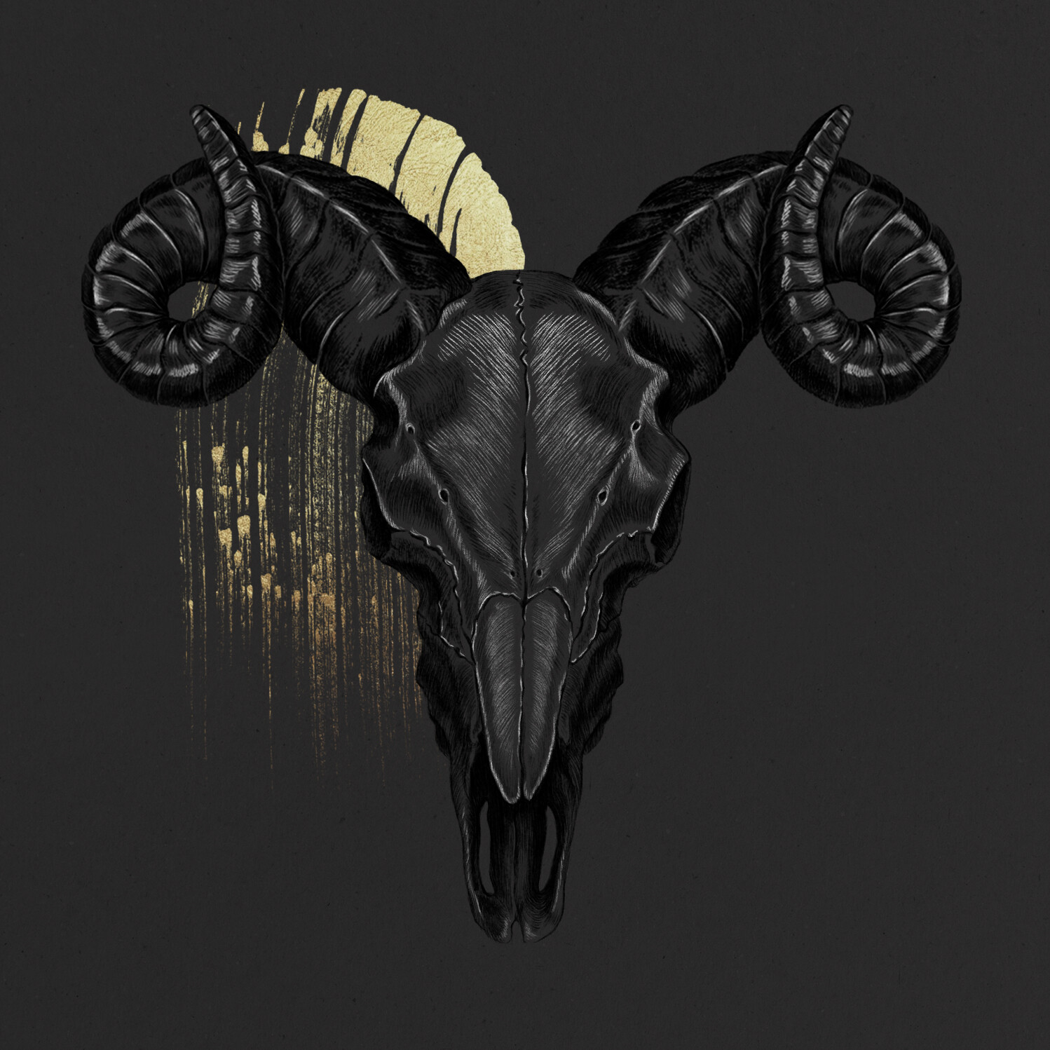 ArtStation - Ram's skull