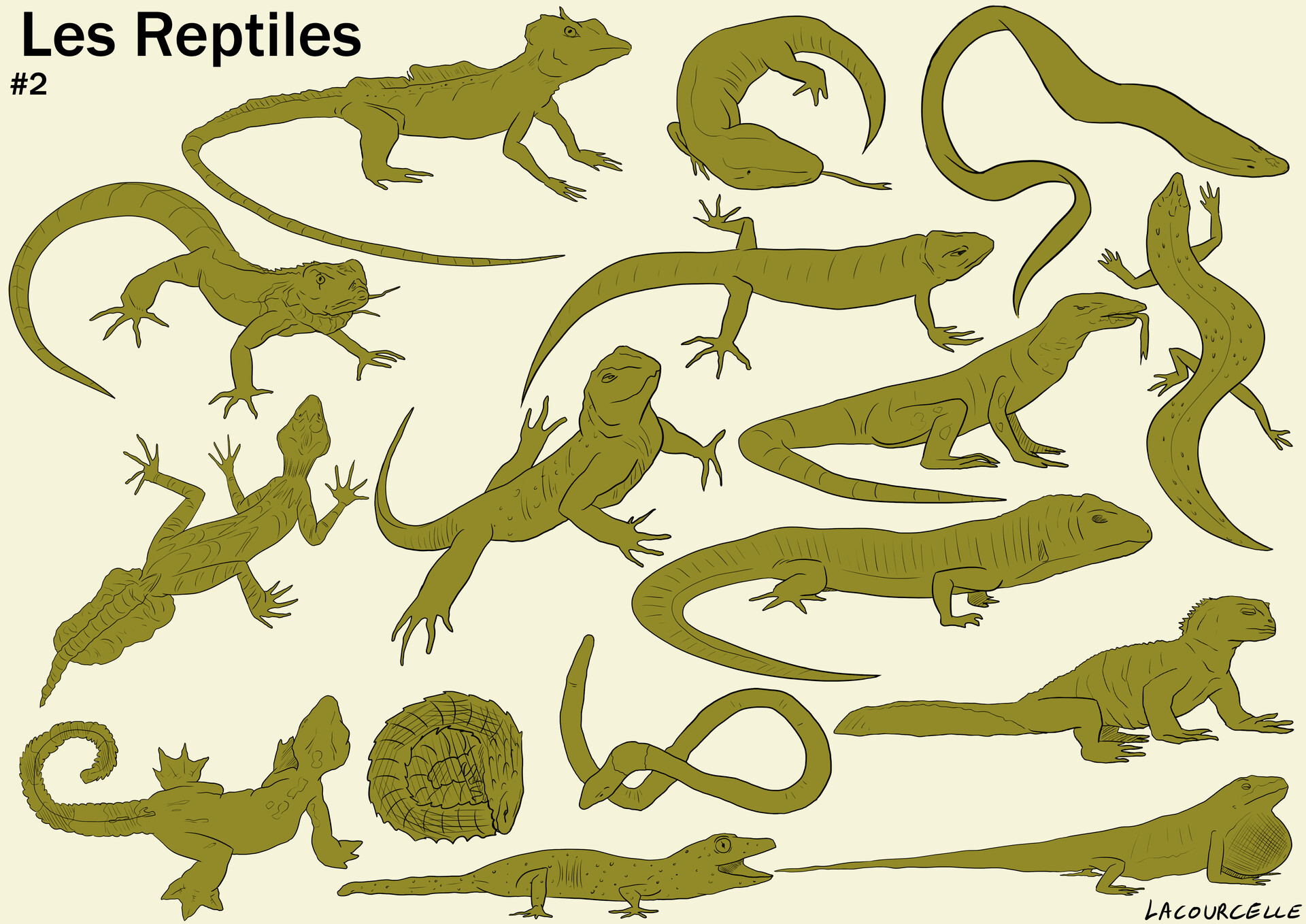 Colombe Lac - Les Reptiles