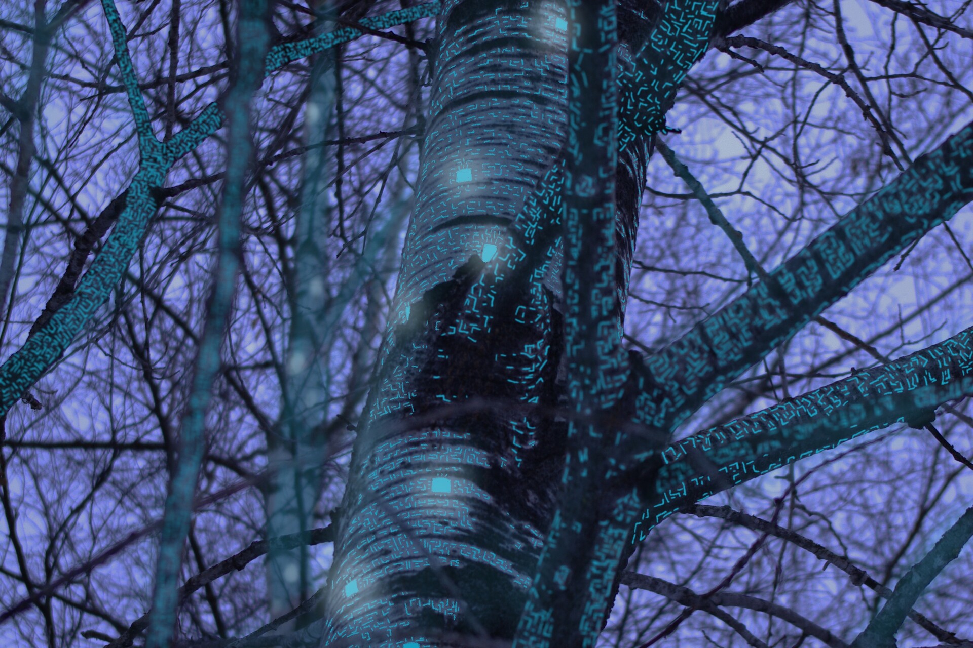 ArtStation - Mother tree