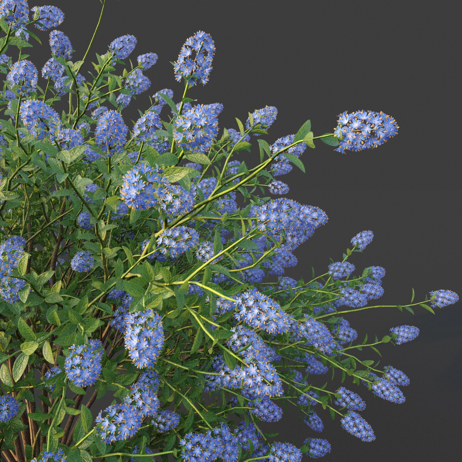 XFROG - GrowFX Flora