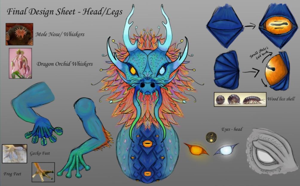 ArtStation - Dragon Design Sheets