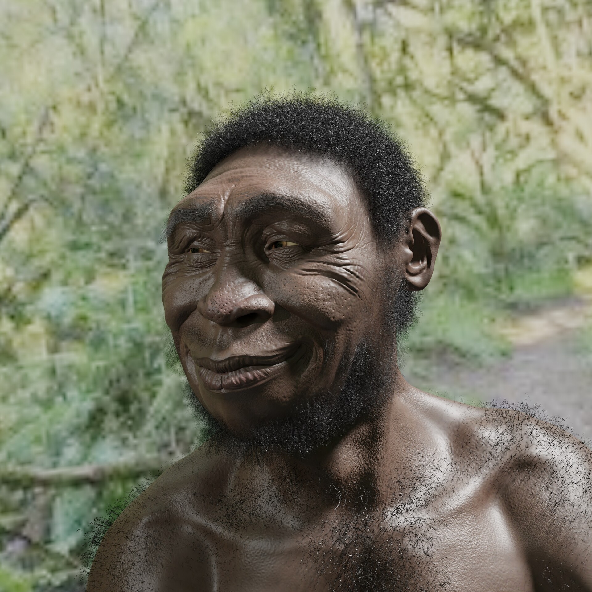 Reconstrucao Do Homo Erectus