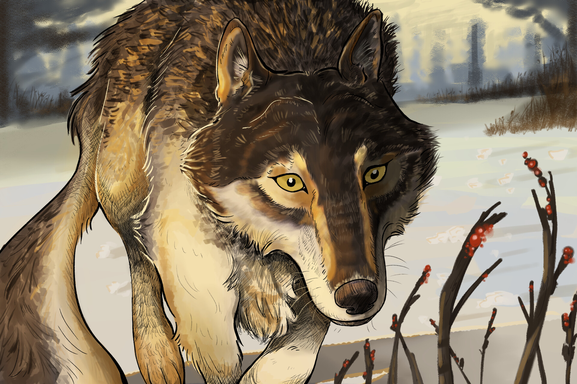 ArtStation - Wolf Study