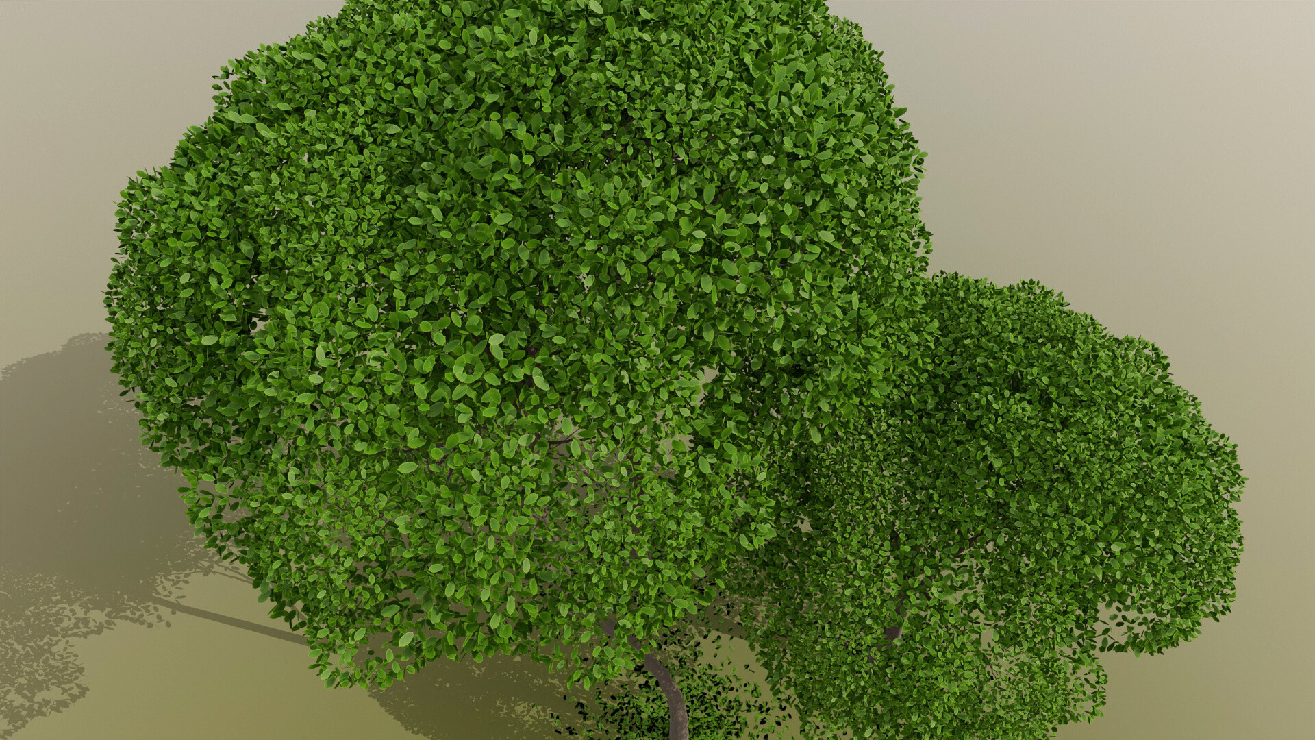 Giimann . - Tree Generator HDA