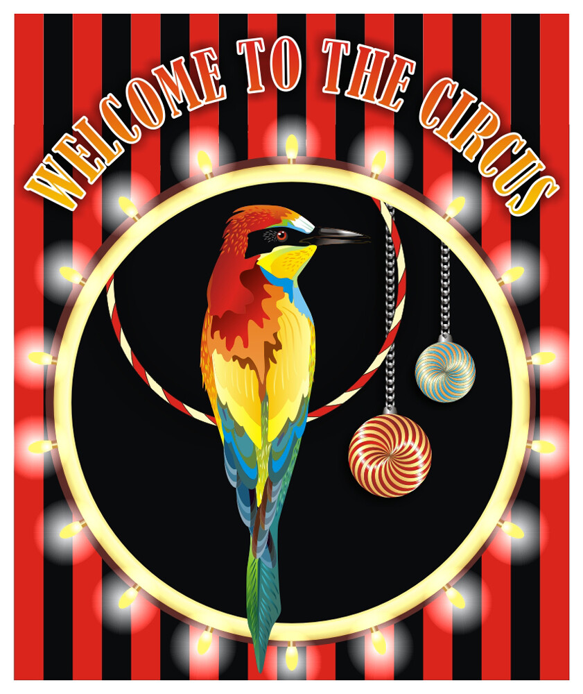 ArtStation - Circus Bird