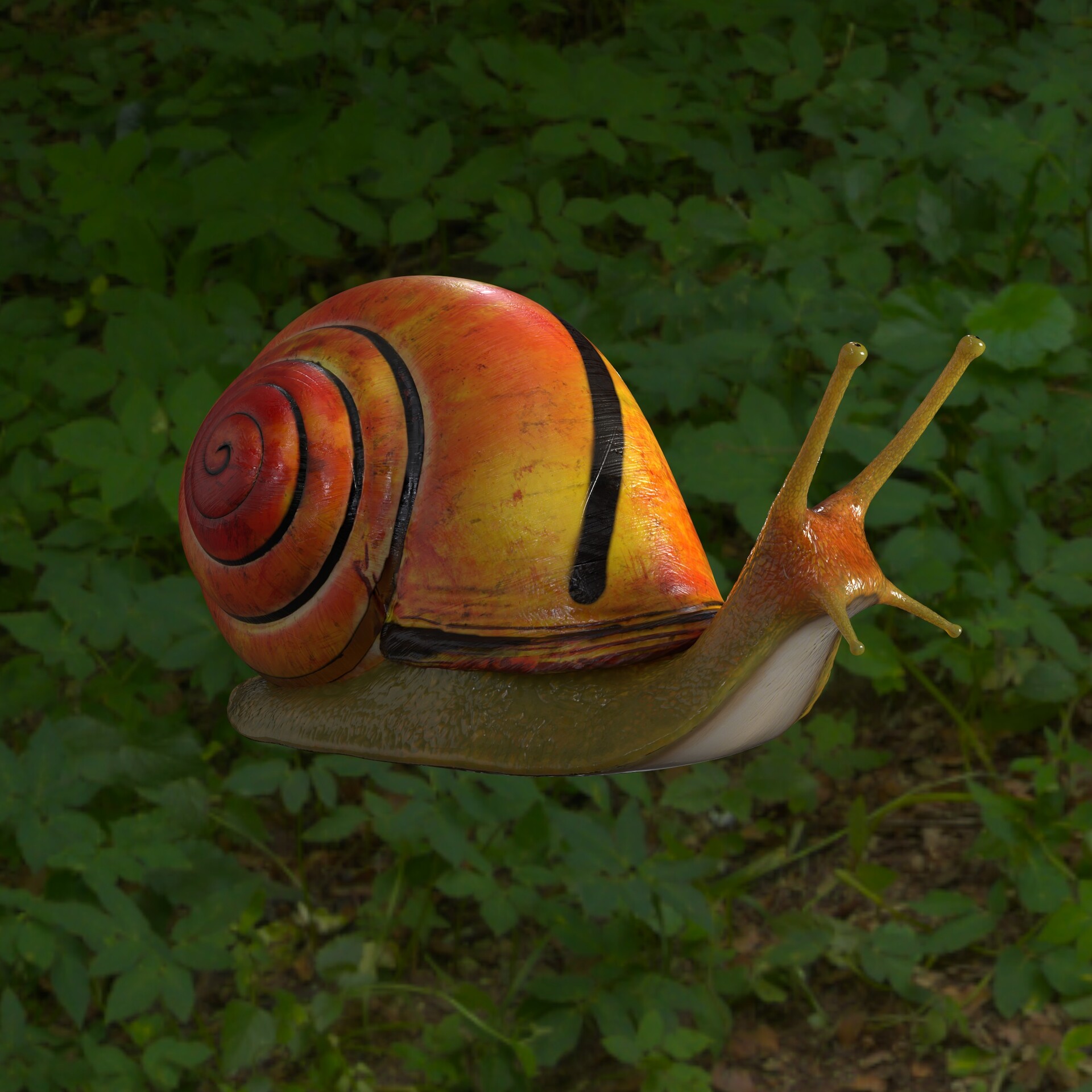 Syed Jafri - The Snaily Ride