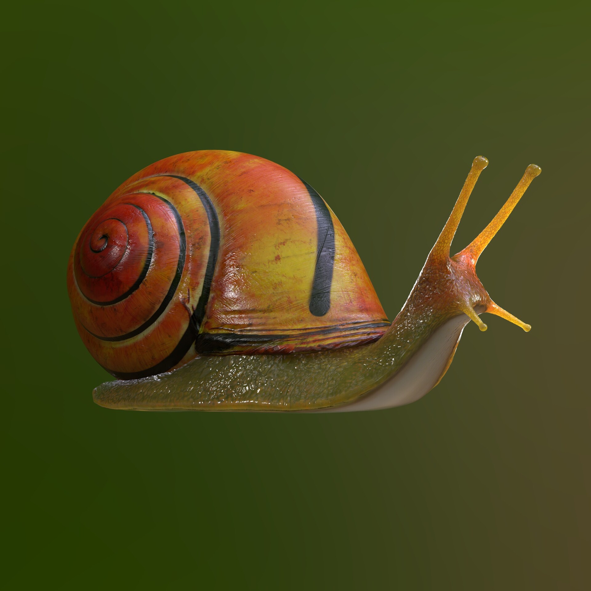 Syed Jafri - The Snaily Ride