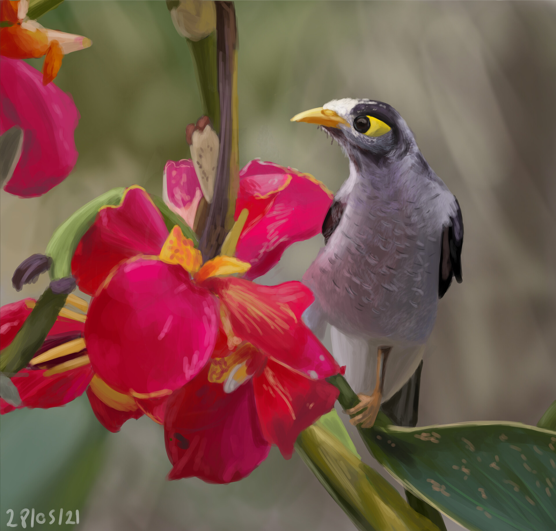 ArtStation - Bird study - DPS