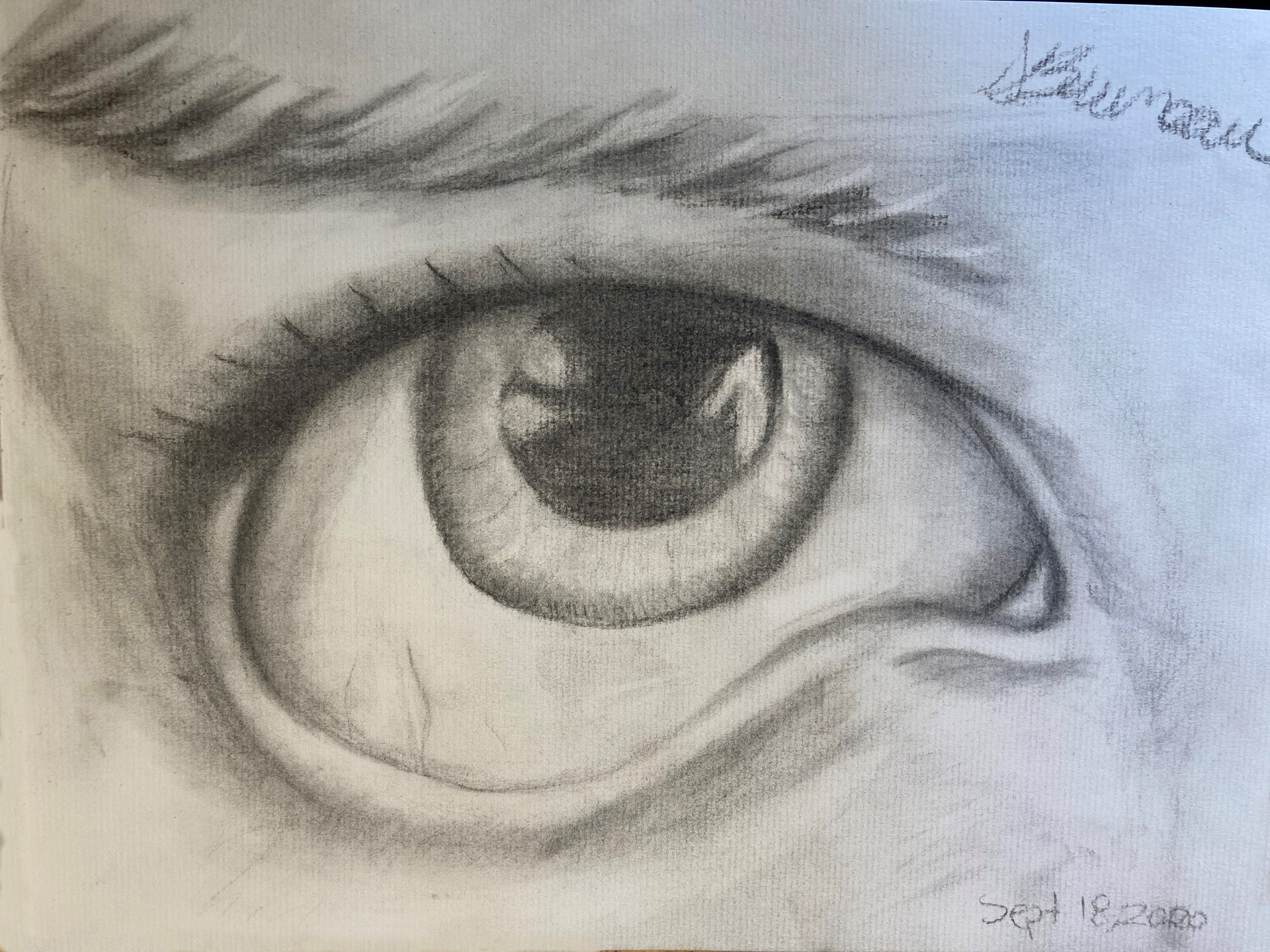 ArtStation - Eye sketches