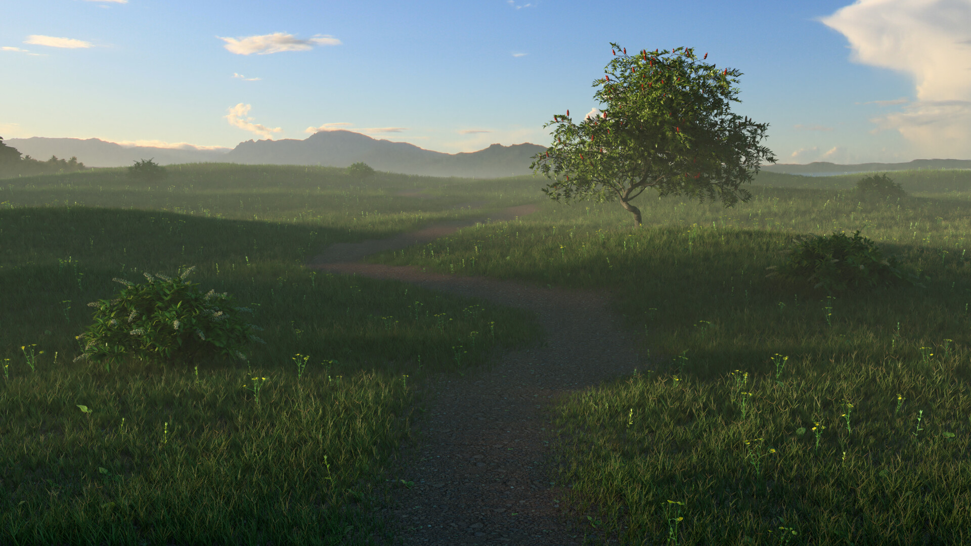 ArtStation - Meadow Path