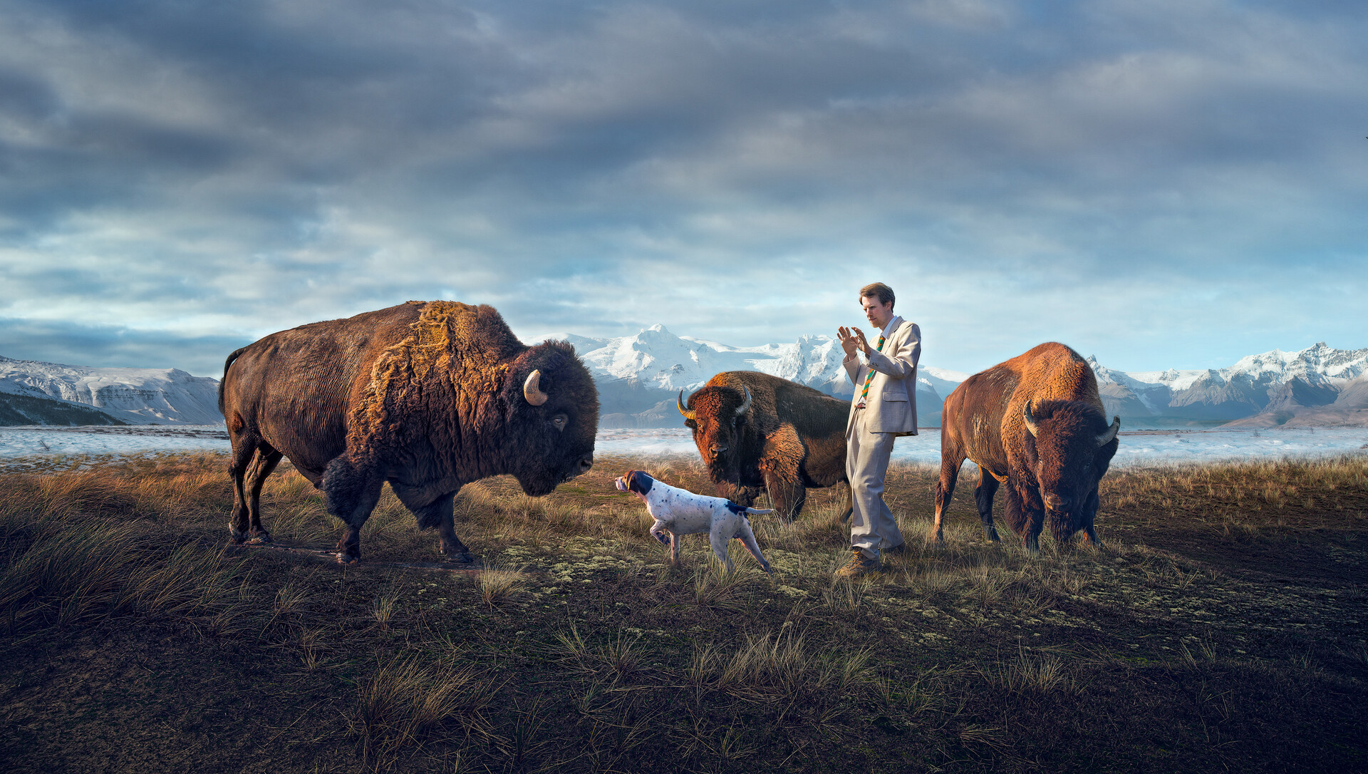 ArtStation - BISON DOG TELEVANGELIST