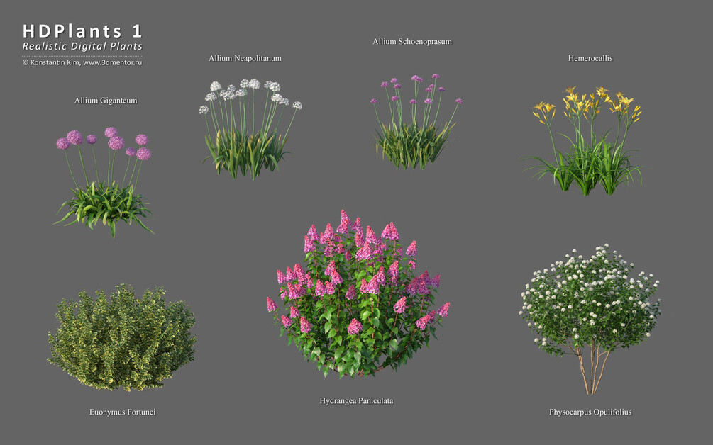 XFROG - HD Plants 1 & 2