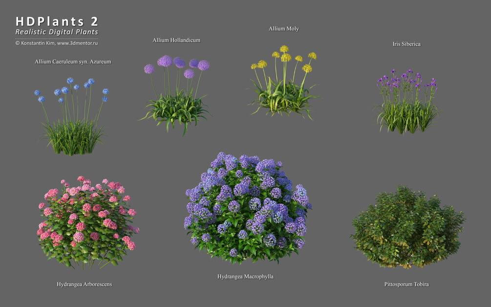 XFROG - HD Plants 1 & 2