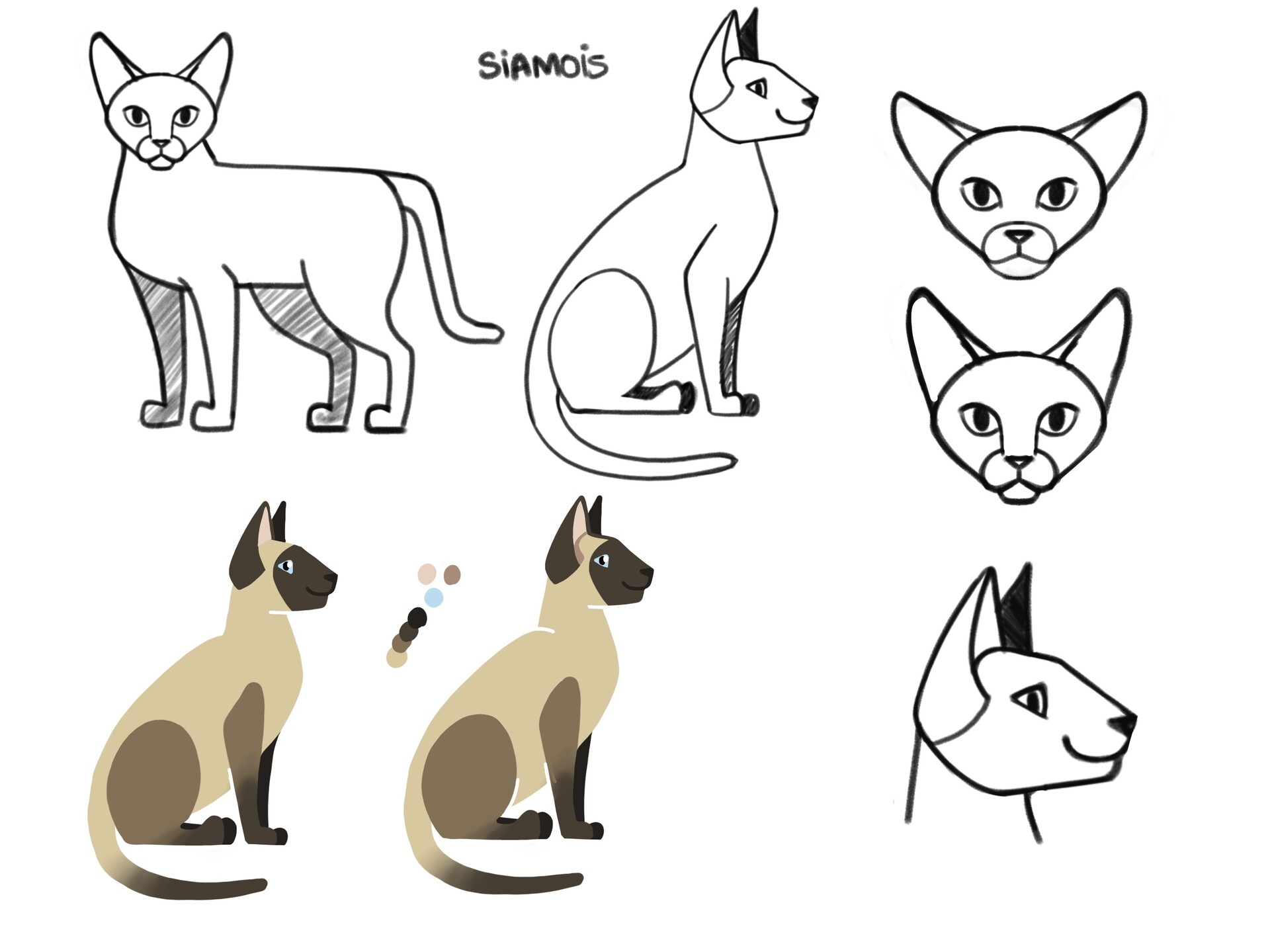 siamese cat drawing reference