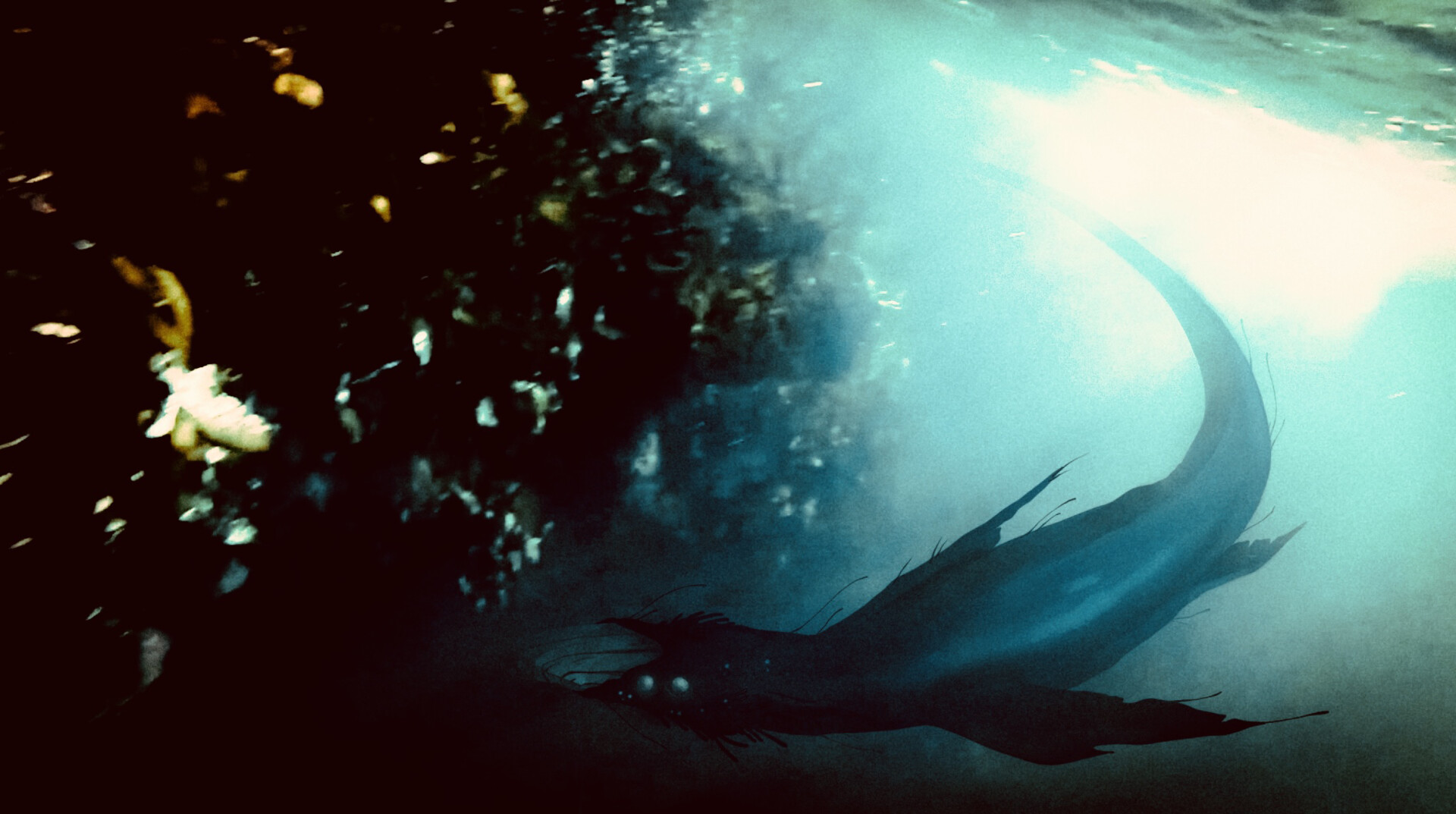 ArtStation - Sea Friend