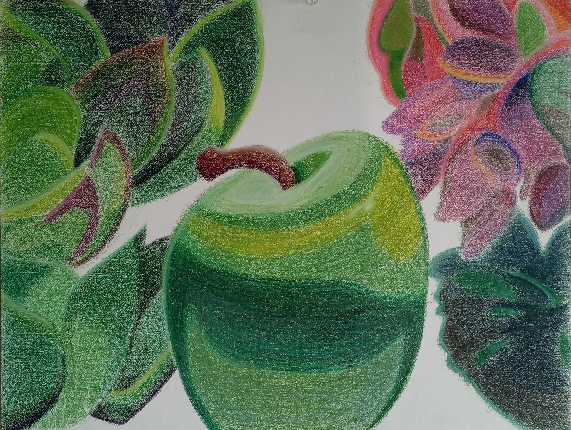 Alex Magee - Traditional illustrations