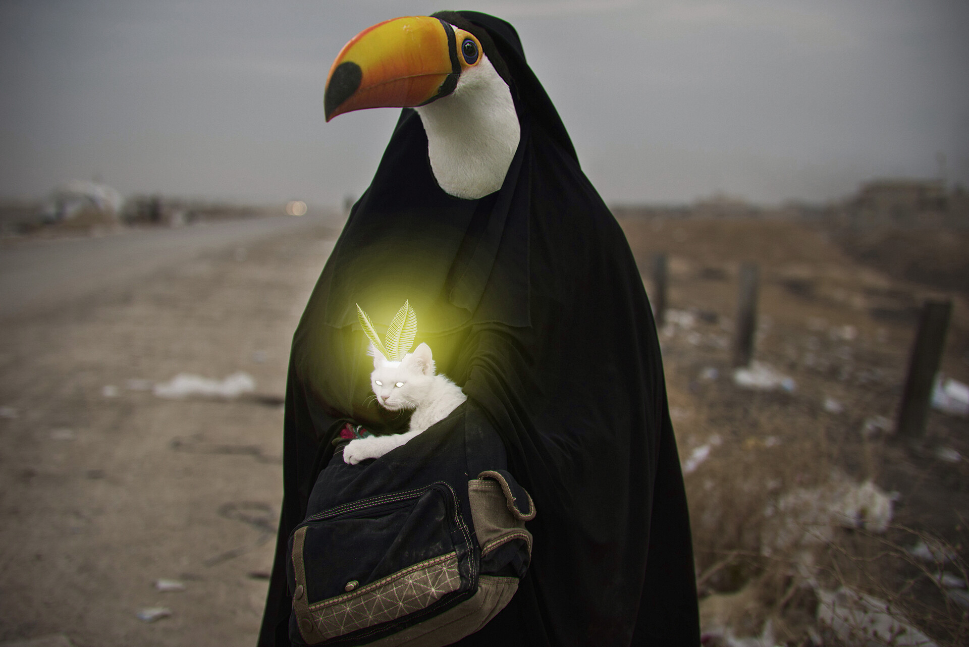 ArtStation - A Pilgrim (touman walmartyr with her moth-cat familiar)