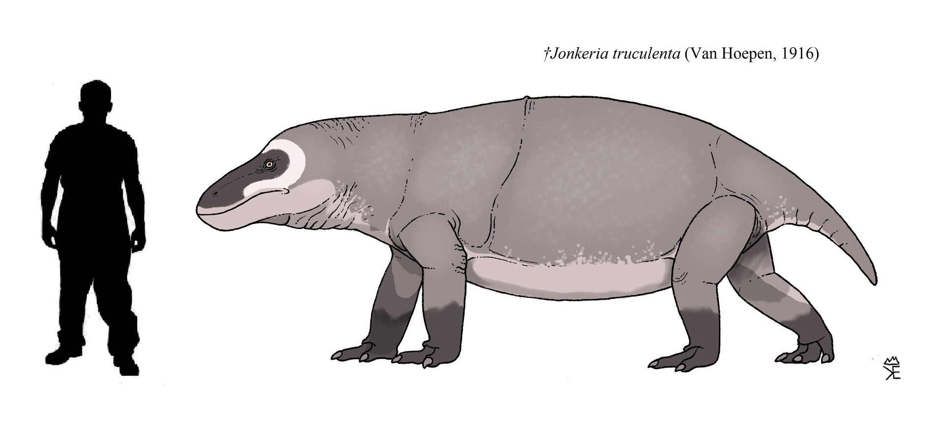 ArtStation - Jonkeria truculenta