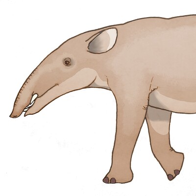 Thomas Sutton - PaleoArt