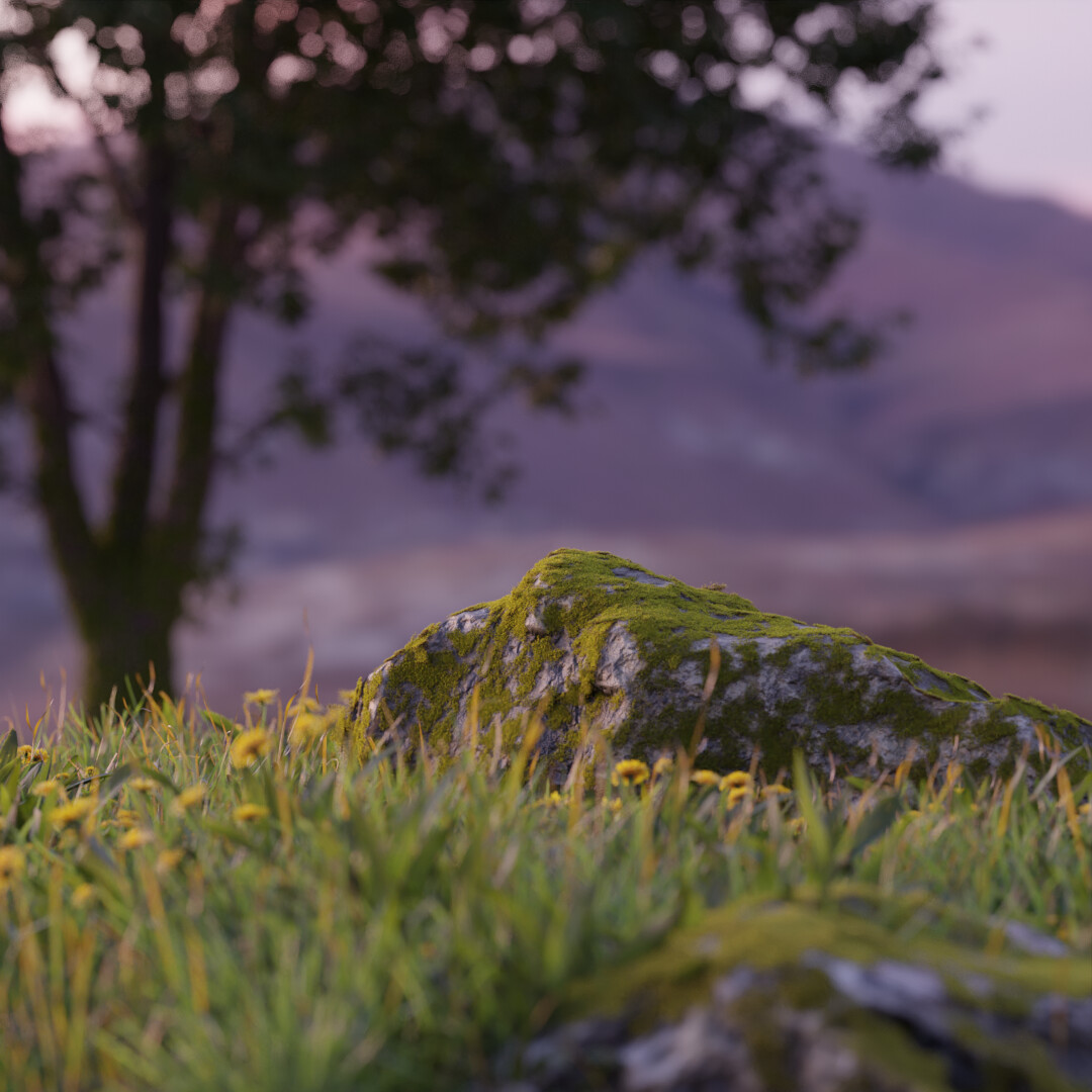 ArtStation - Moss on a rock at sunset