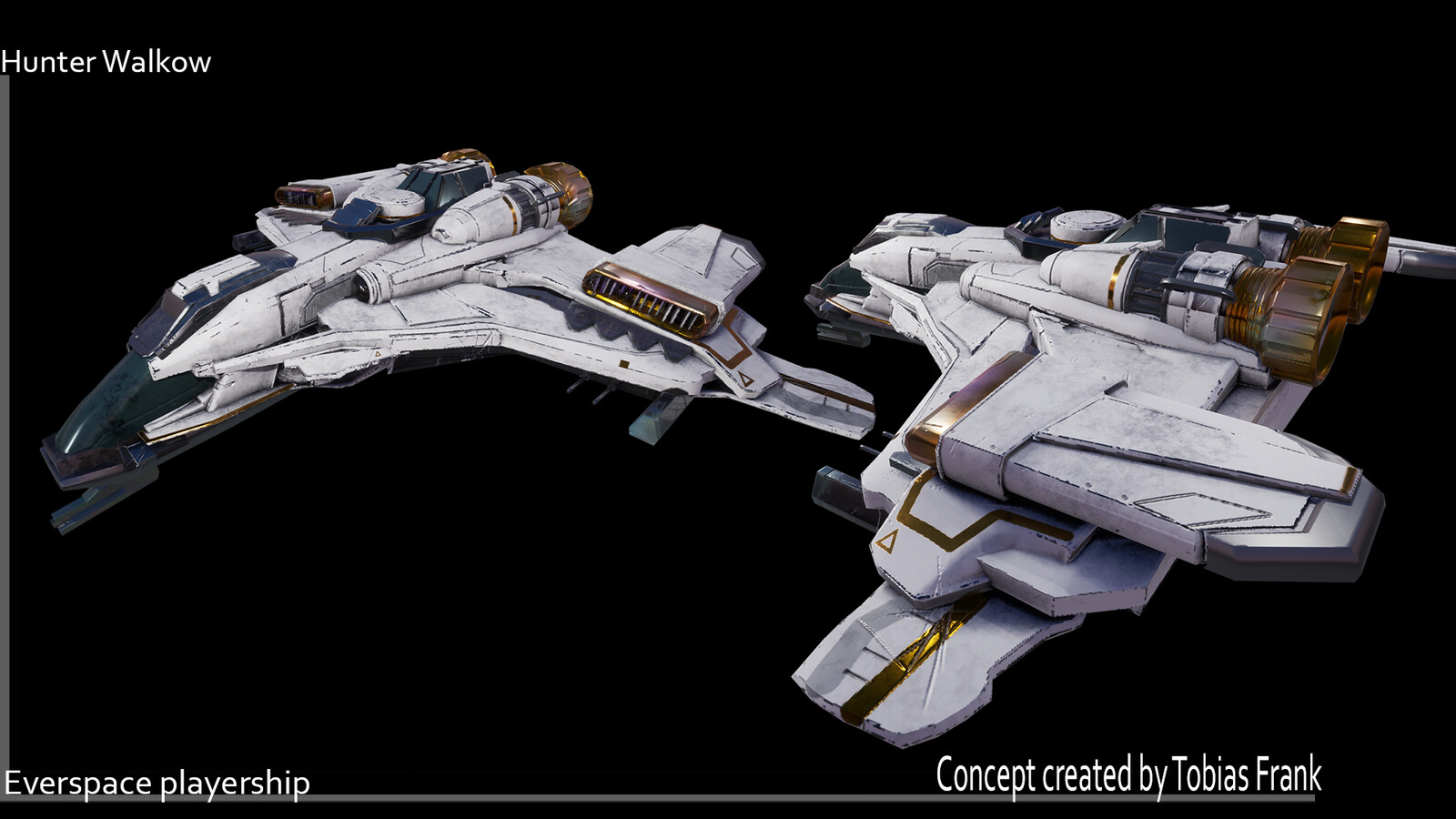 Hunter Walkow - Everspace Ship