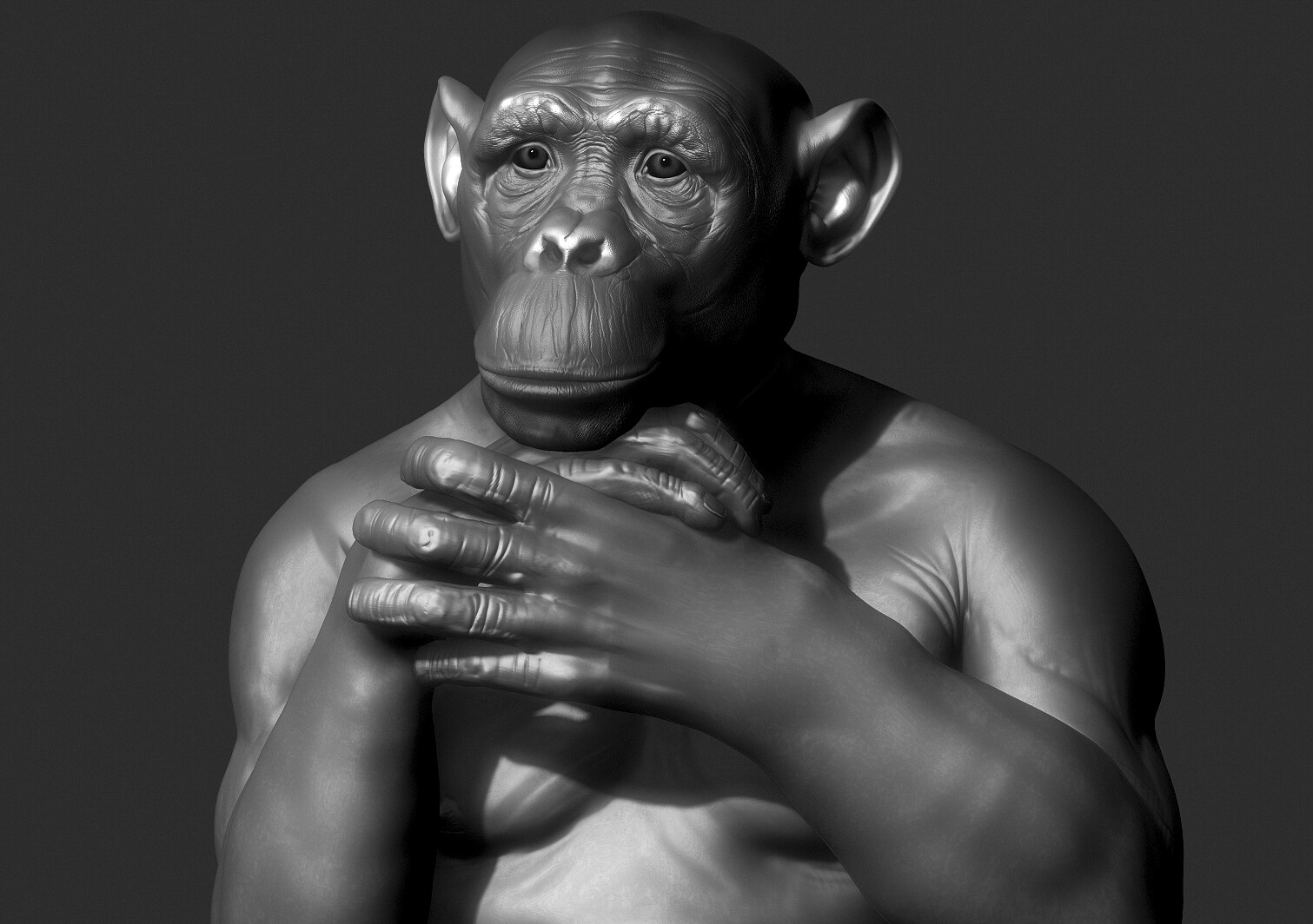 ArtStation - Oldboy - Chimp Study Sculpt