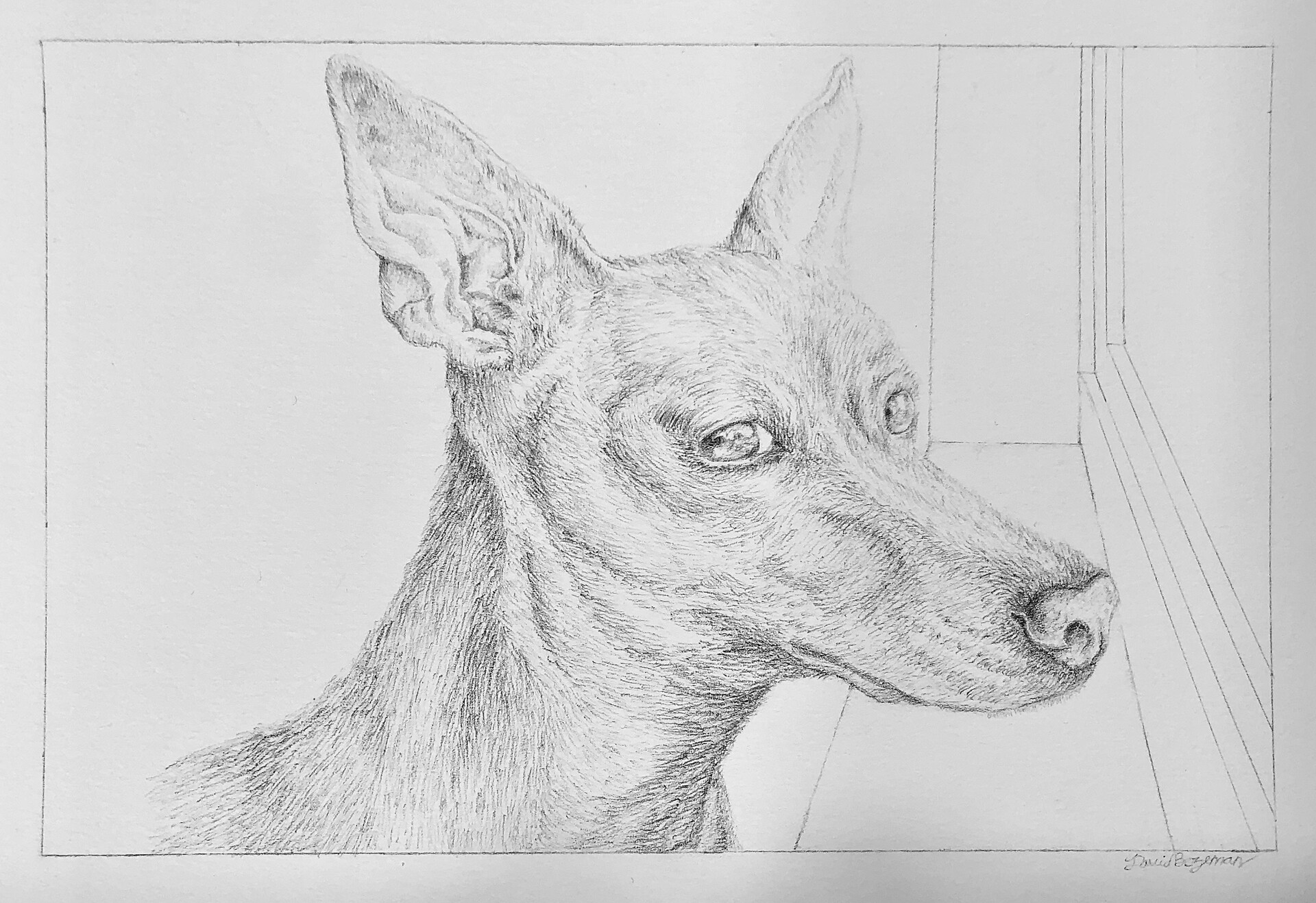 ArtStation - Dog Portrait