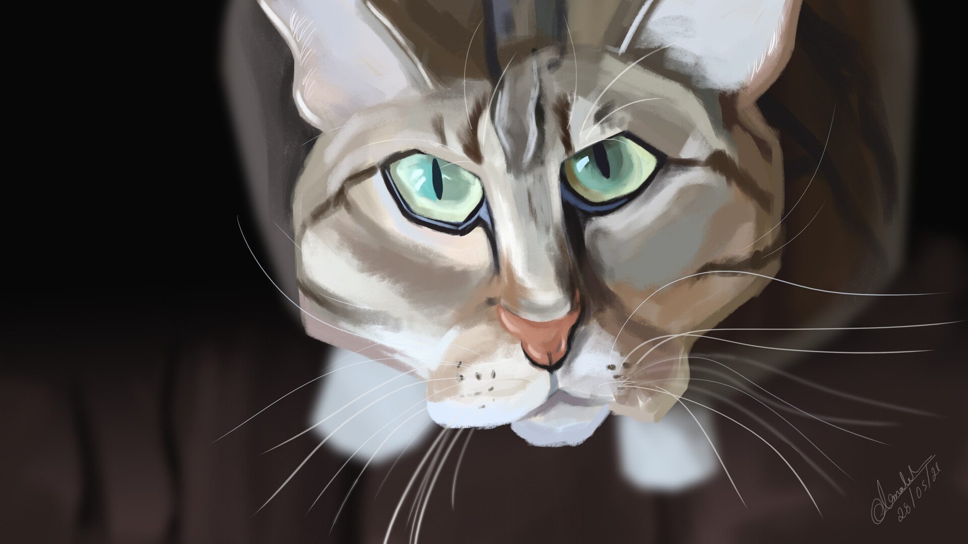 ArtStation - Cat Art