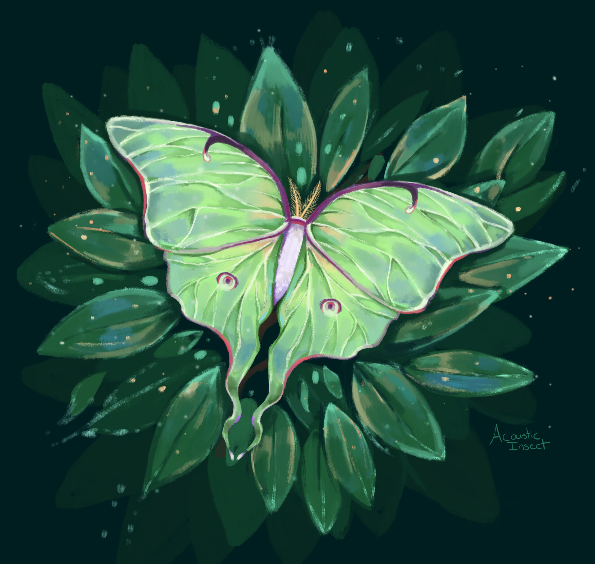 ArtStation - Luna Moth