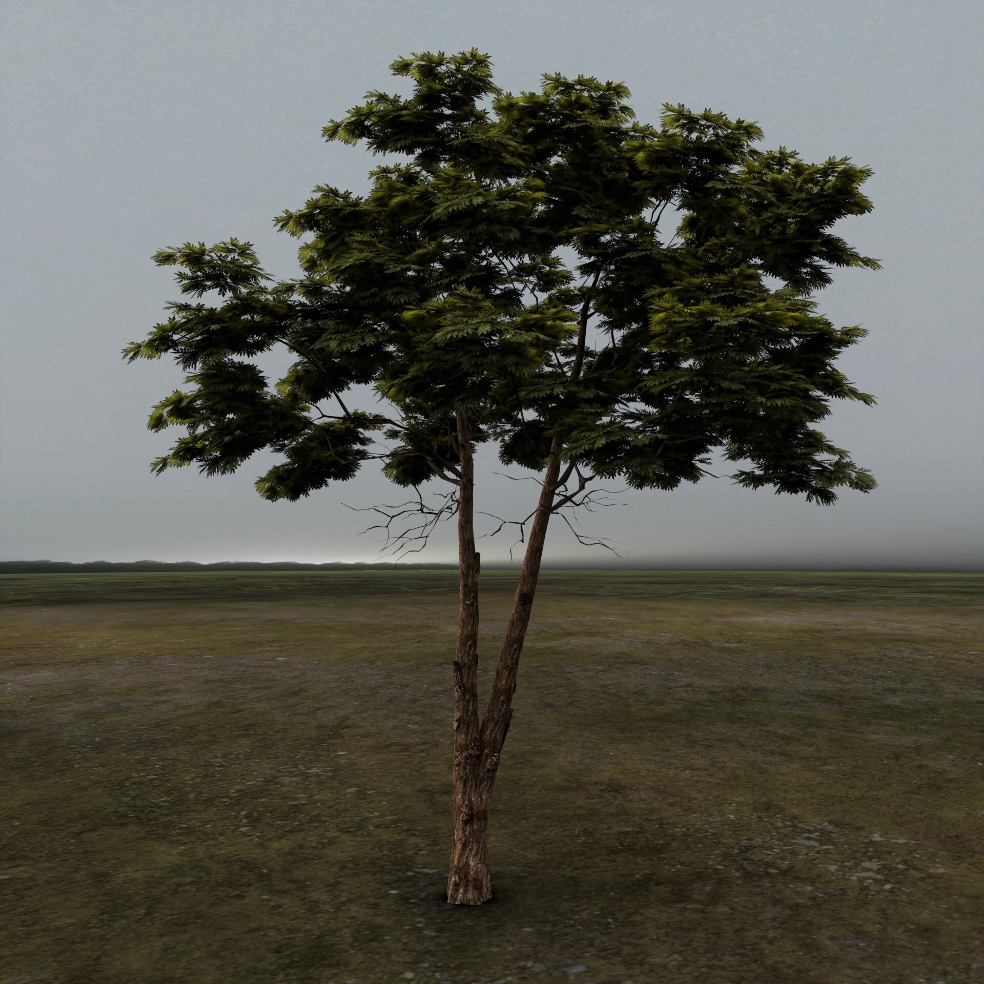 ArtStation - Optimized Trees