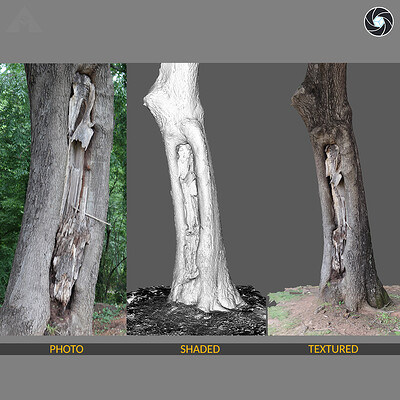 Anthony S. Miola - Portfolio