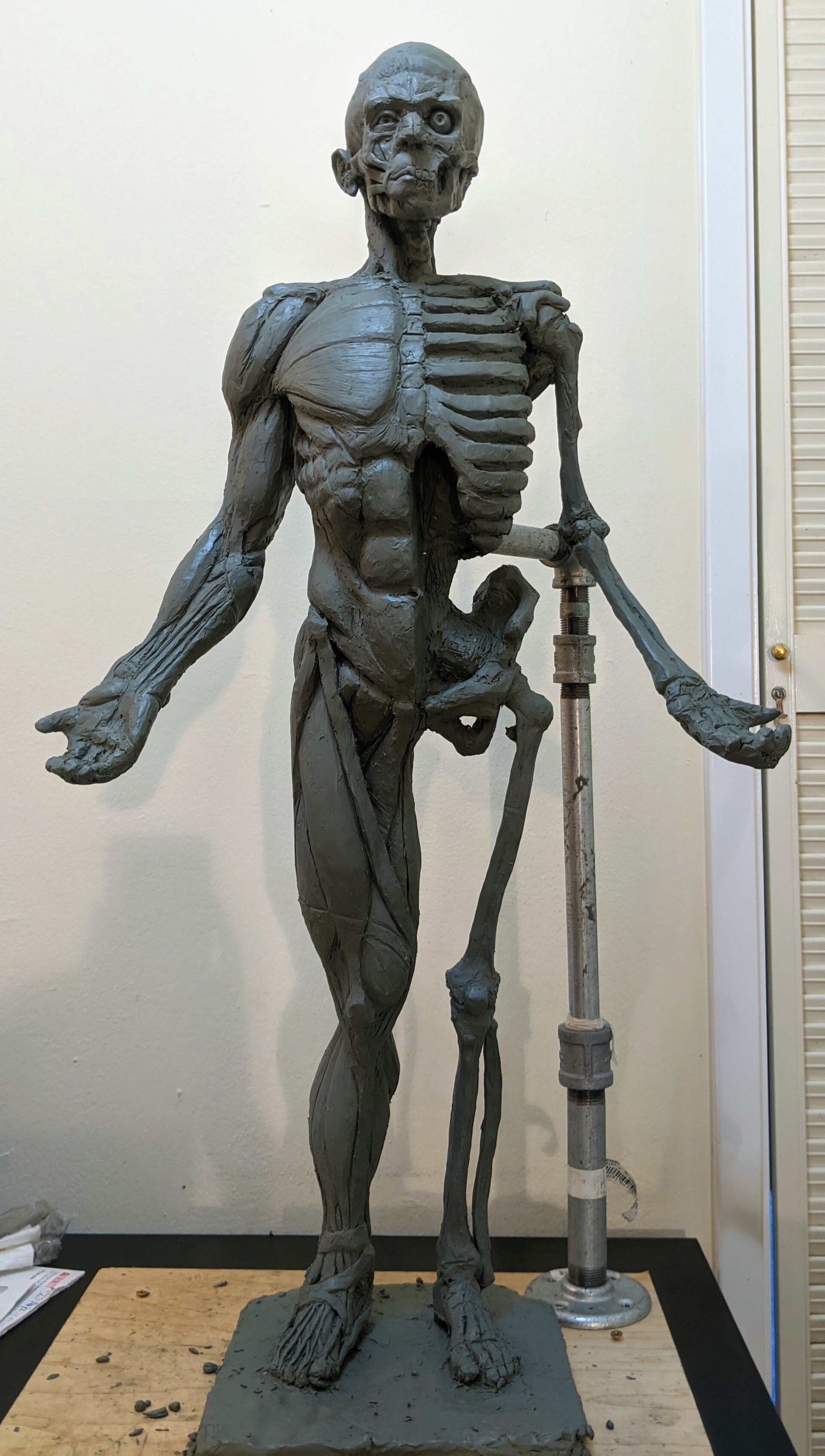 ArtStation - Ecorche Study