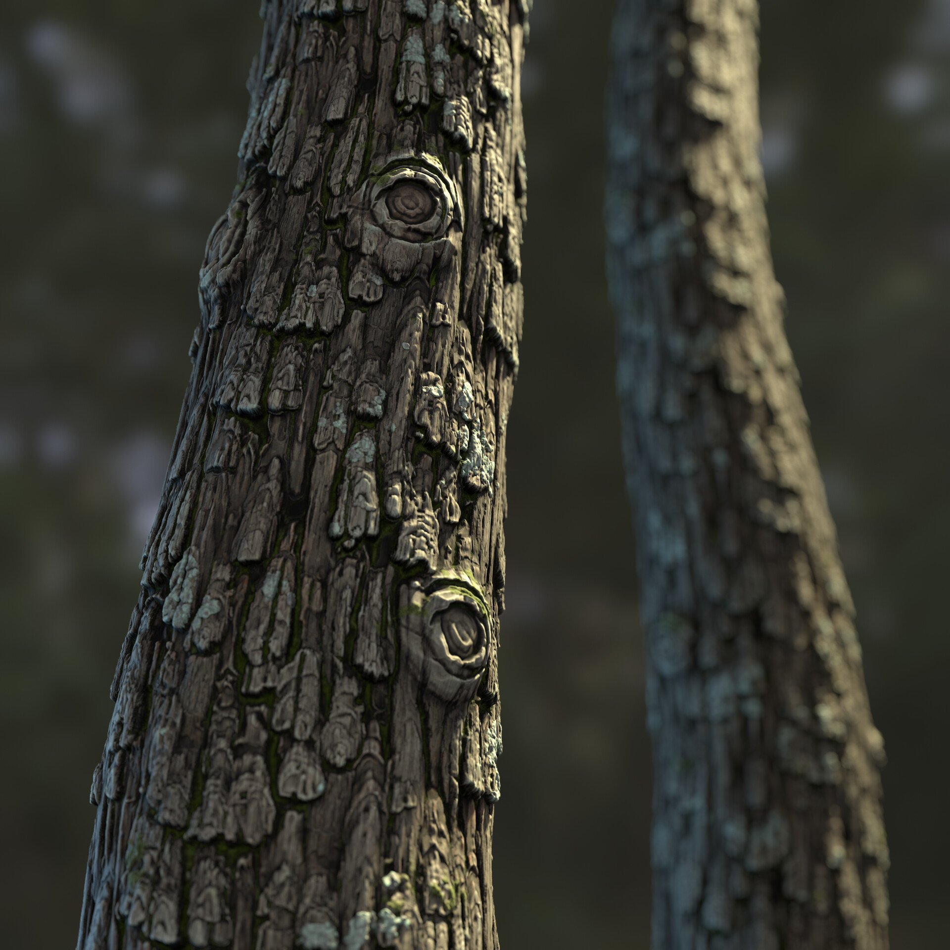ArtStation - Stylized Tree Bark