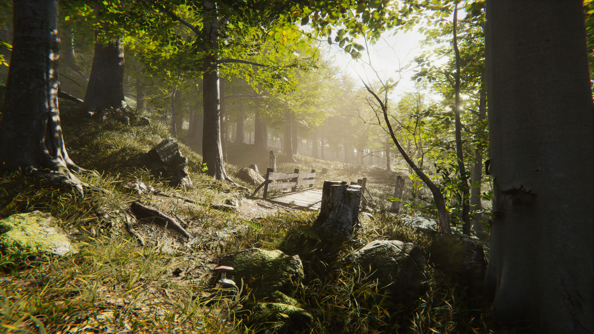 ArtStation - Realtime Unity Forest