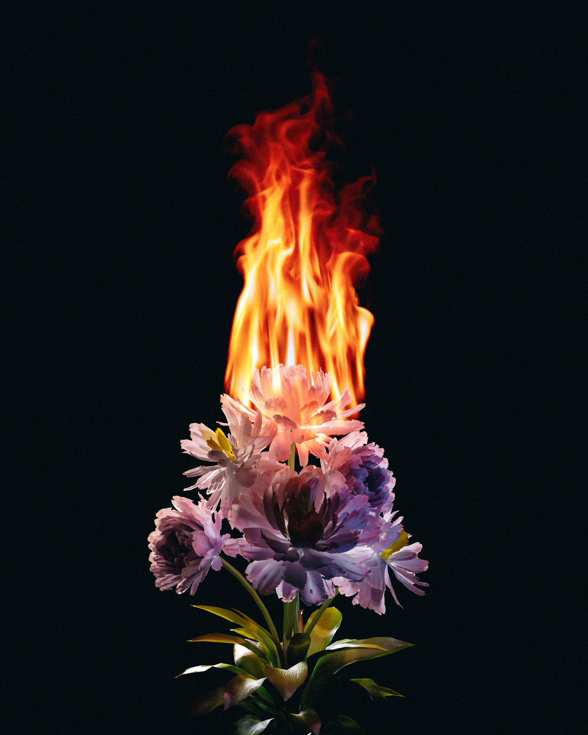 ArtStation - PEONY IN FLAMES