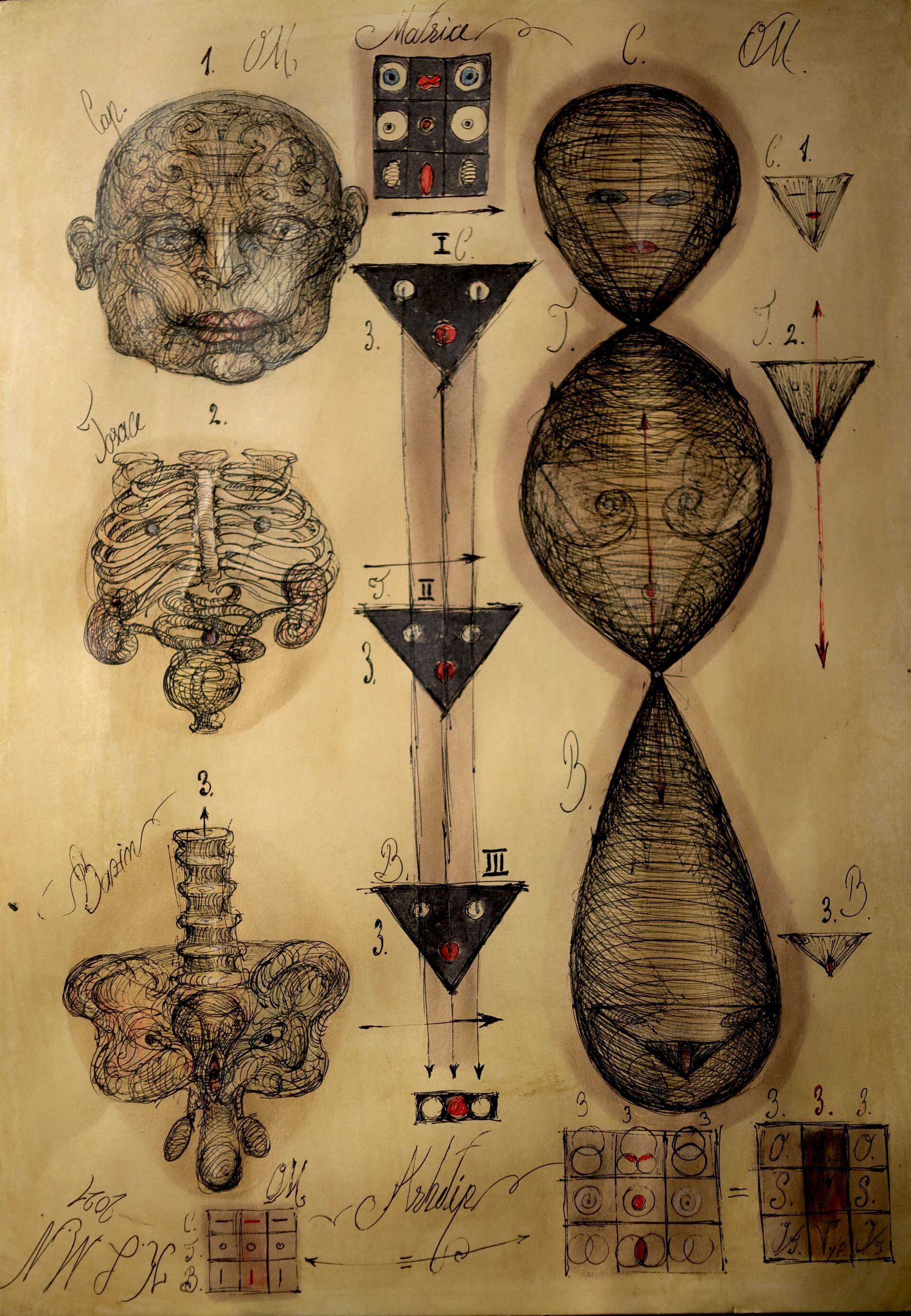 ArtStation - Human 9 matrix