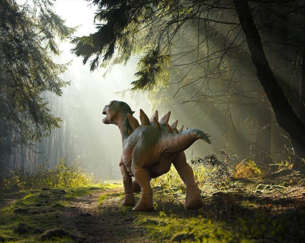 ArtStation - Baby stegosaurus in the forest