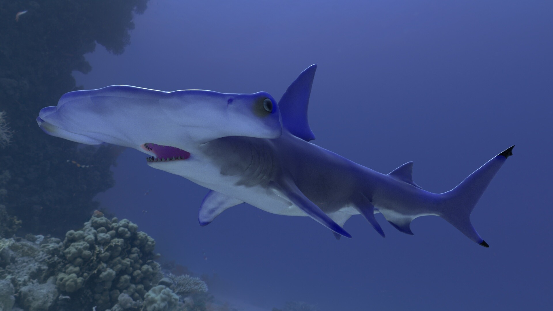 ArtStation - Hammerhead Shark