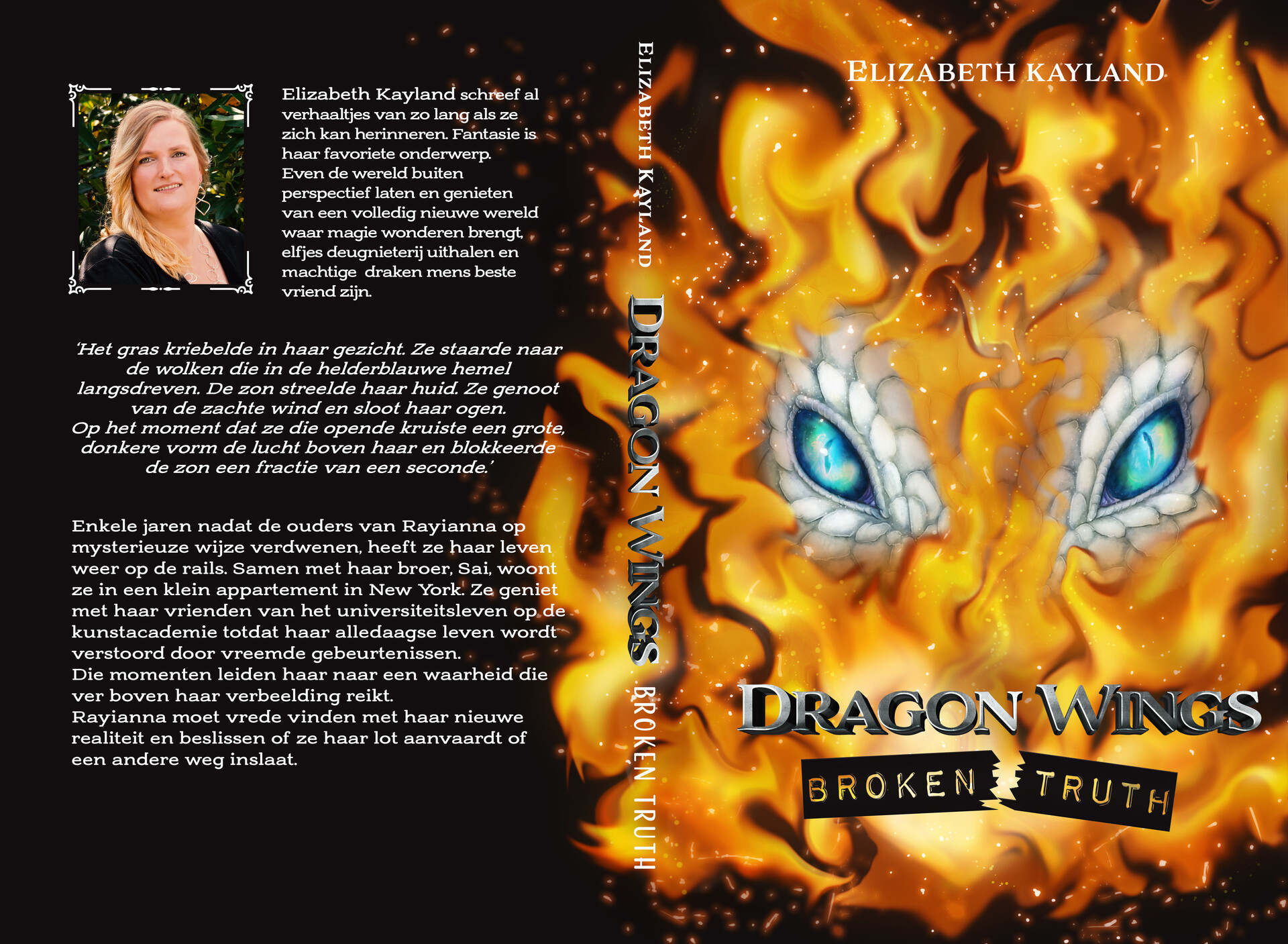 Dragon Wings Book Cover