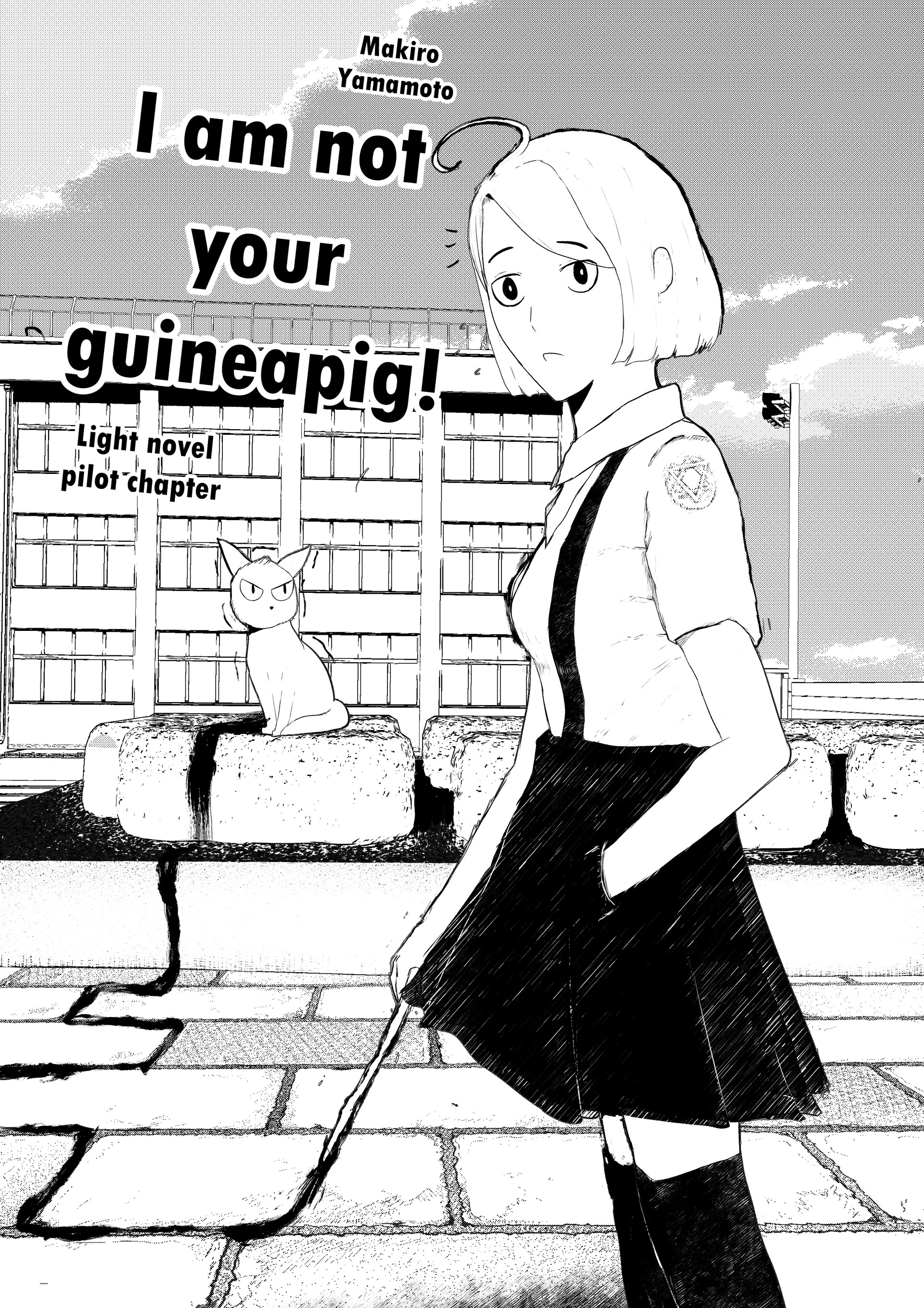 ArtStation - Light novel cover!