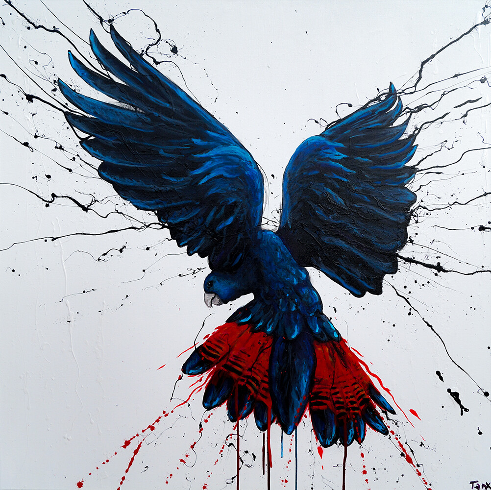 Red Tailed Black Cockatoo Feather